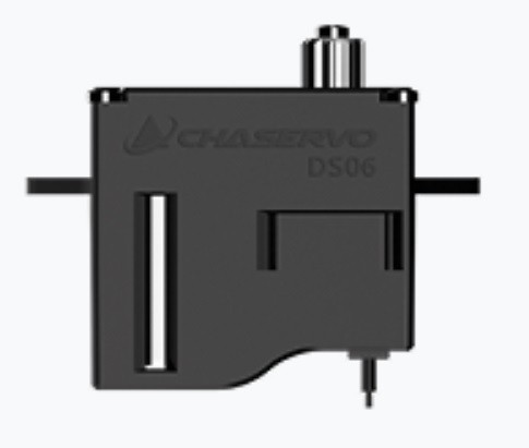 DS06 6g/2kg CHASERVO - Intermodel SAS